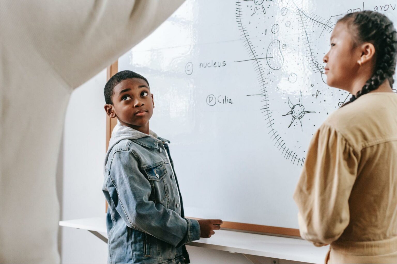 Why Preconceived Ideas Impact Children's Learning - KneoWorld